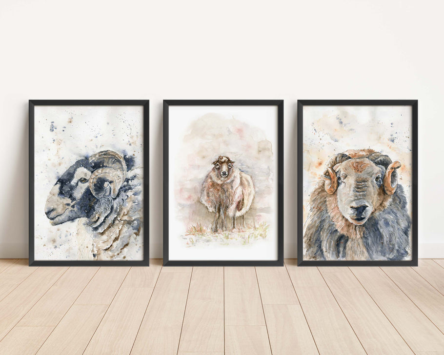 Sheep Art Print Set of 3 Prints, Rustic Farmhouse Decor, Watercolour F ...