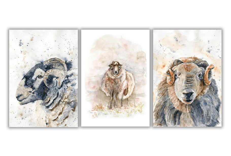 Sheep Art Print Set of 3 Prints, Rustic Farmhouse Decor, Watercolour F ...